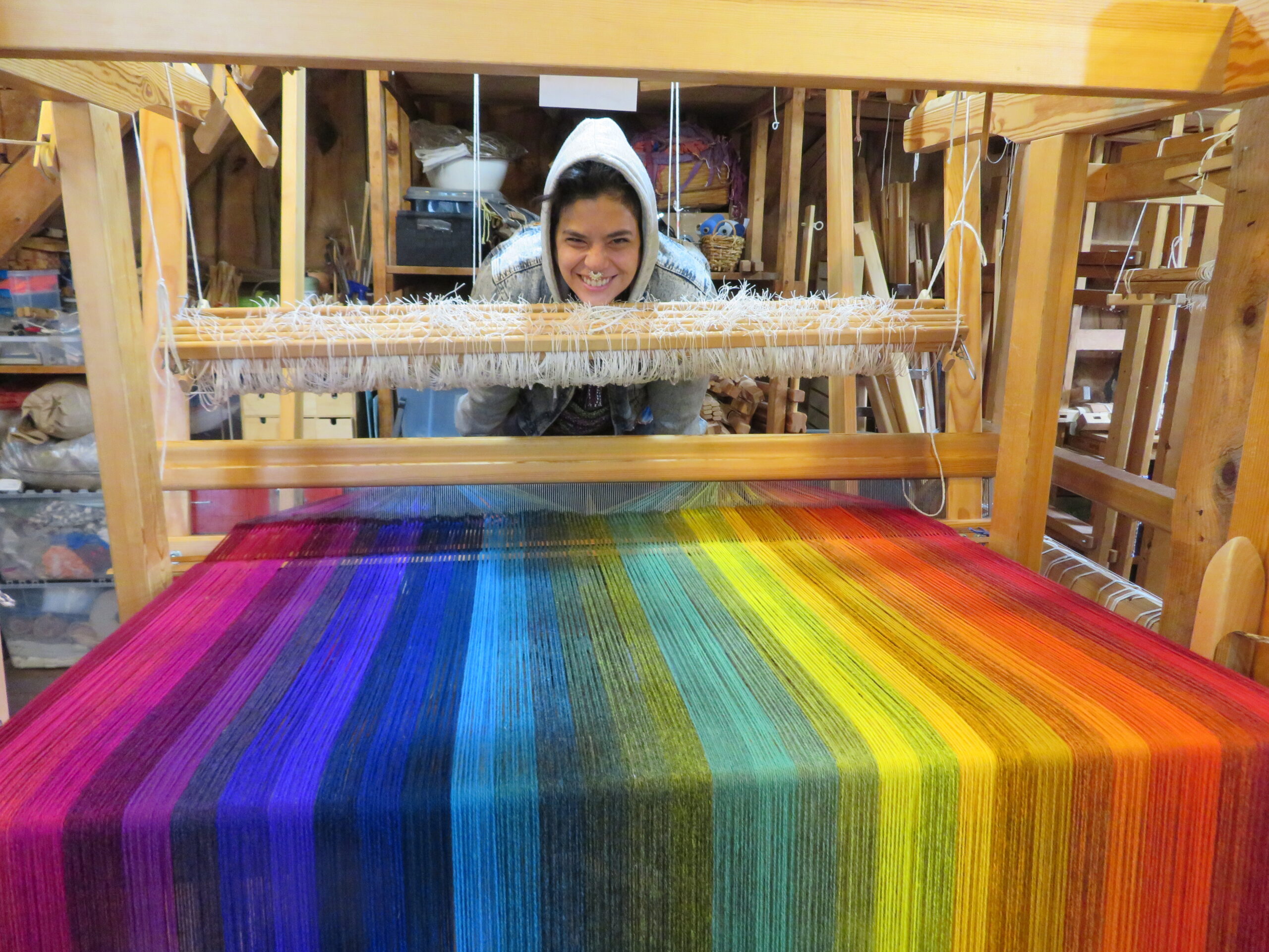 Väv Immersion Weaving Intensive 2024 - Fabric of Life